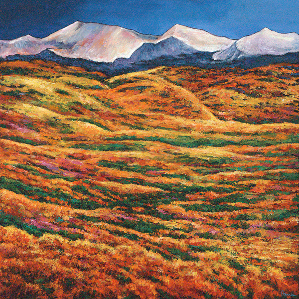 New Website Launched - Johnathan Harris Fine Art